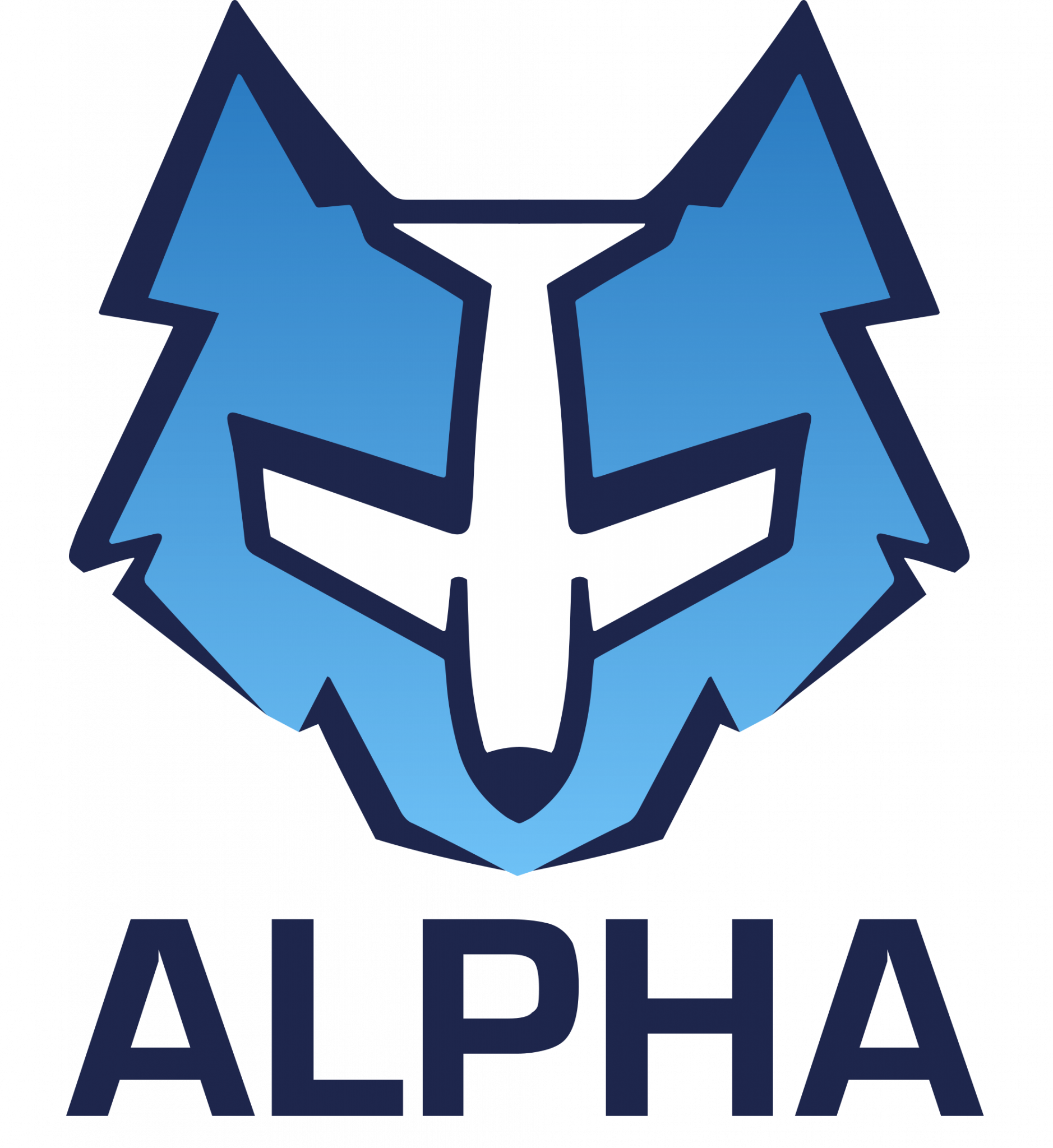 Alpha International Aviation – Where Your Aviation Dream Takes Flight